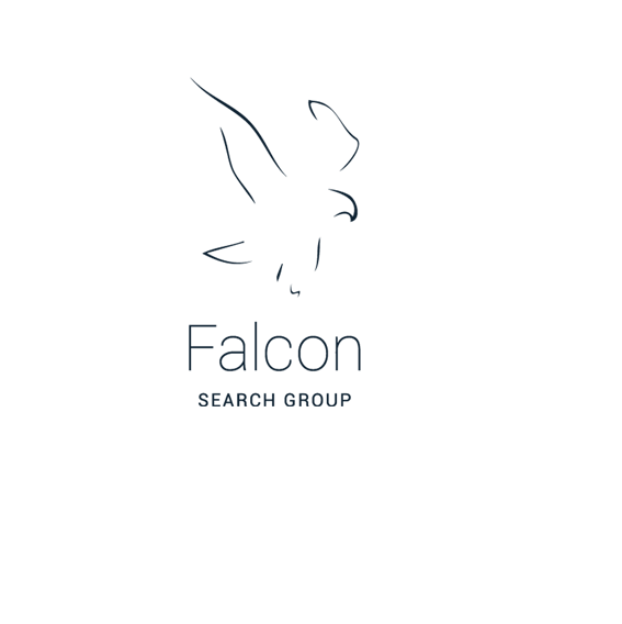FalconSearchGroup